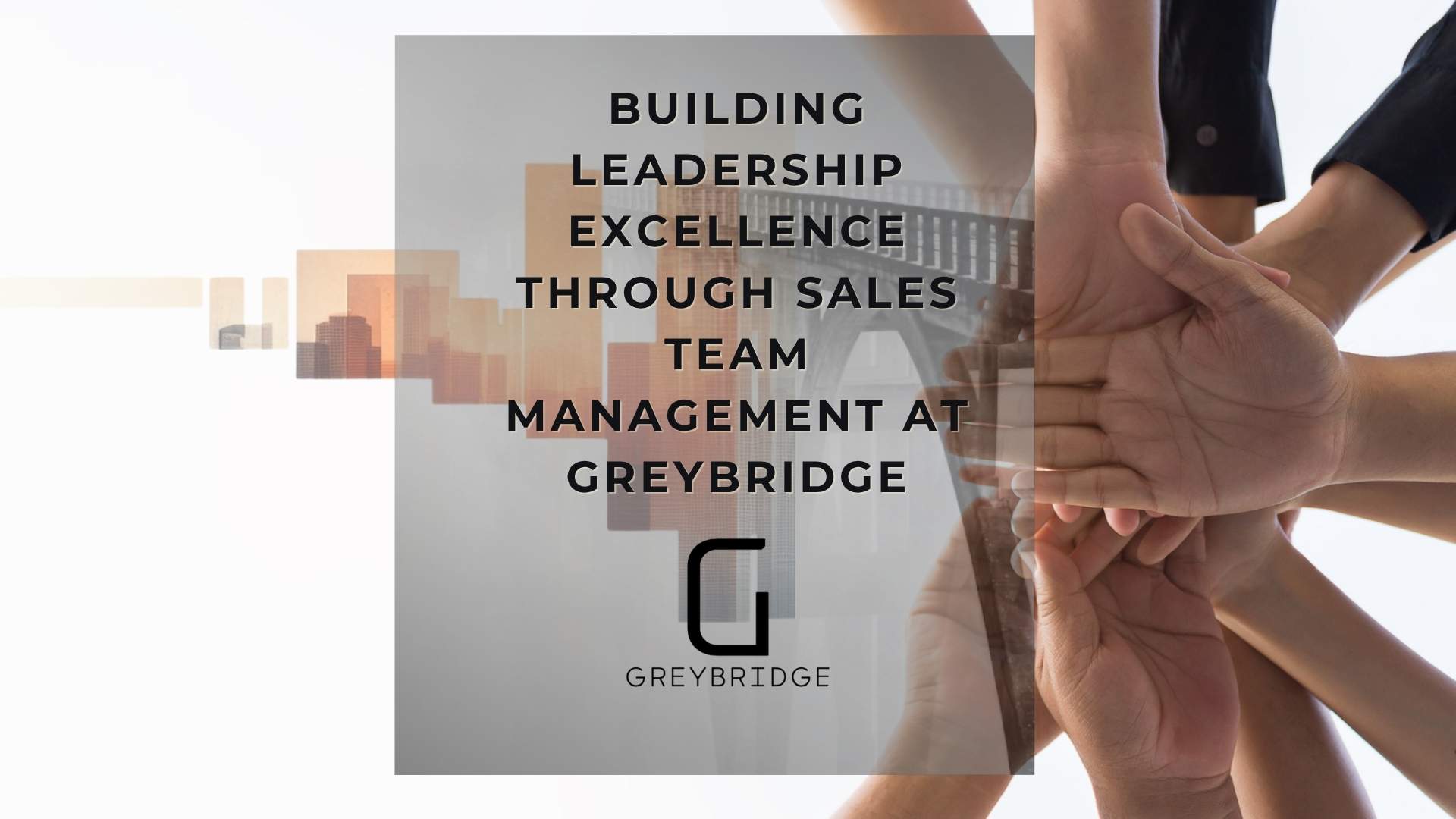 Building Leadership Excellence through Sales Team Management at ...